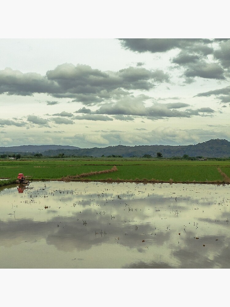 "Rice Fields #1 in Conner, Apayao" Poster by Kasiyana | Redbubble