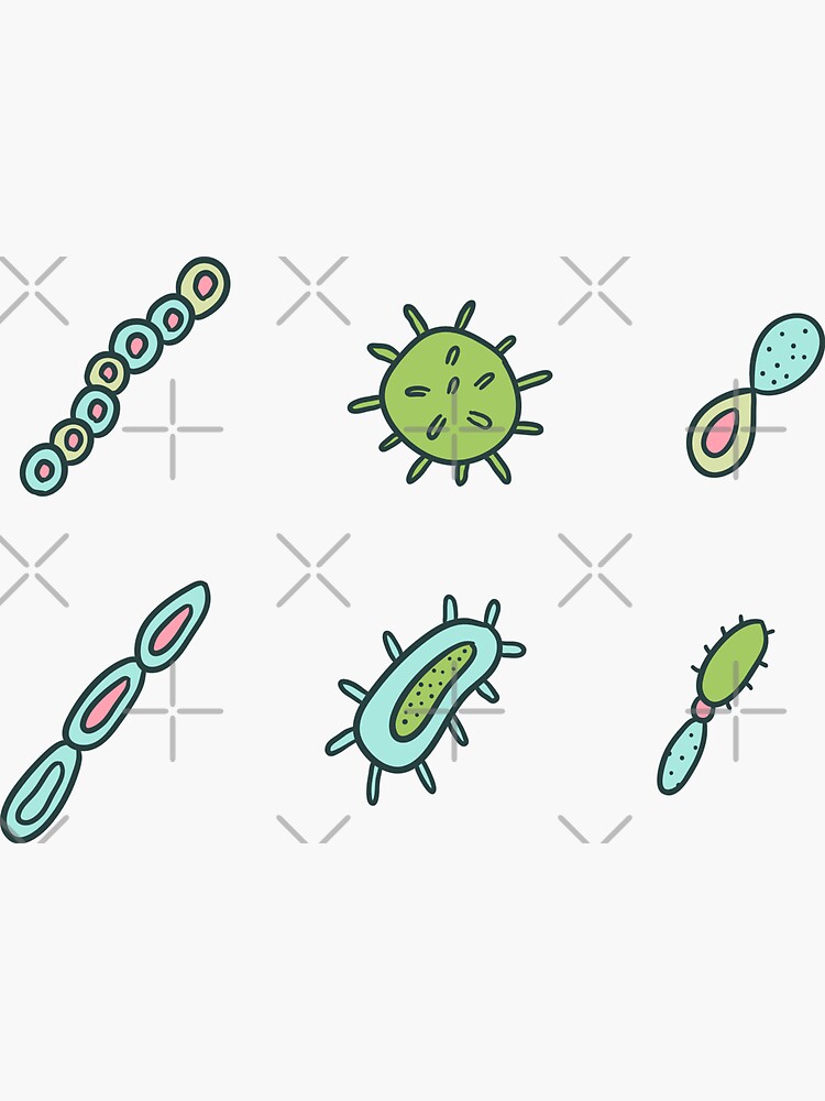 "Microbes pattern. Bacteria design for biology lovers. Virus ...