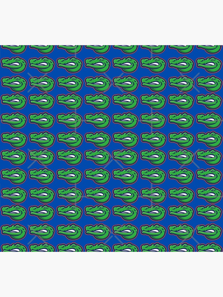 University Of Evensville Socks for Sale | Redbubble