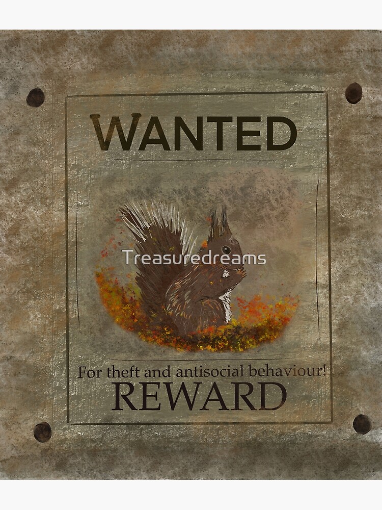 "Wanted squirrel poster" Poster for Sale by Treasuredreams | Redbubble