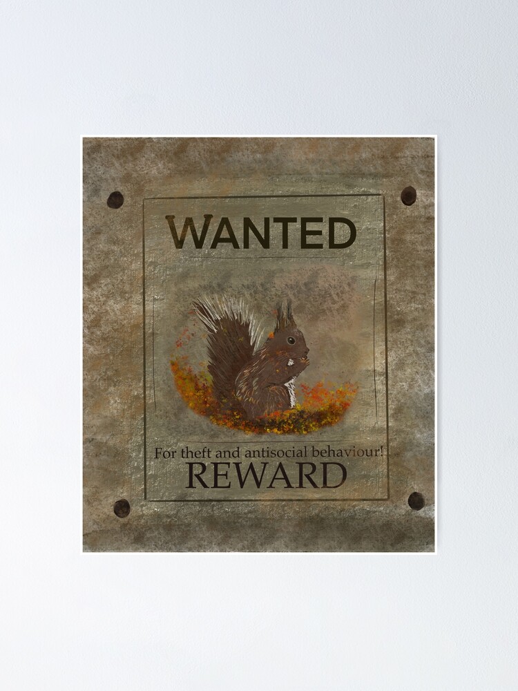 "Wanted squirrel poster" Poster for Sale by Treasuredreams | Redbubble