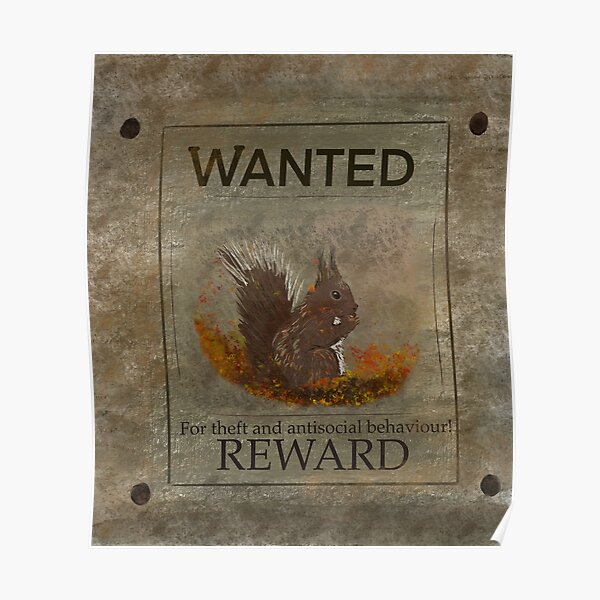 "Wanted squirrel poster" Poster for Sale by Treasuredreams | Redbubble