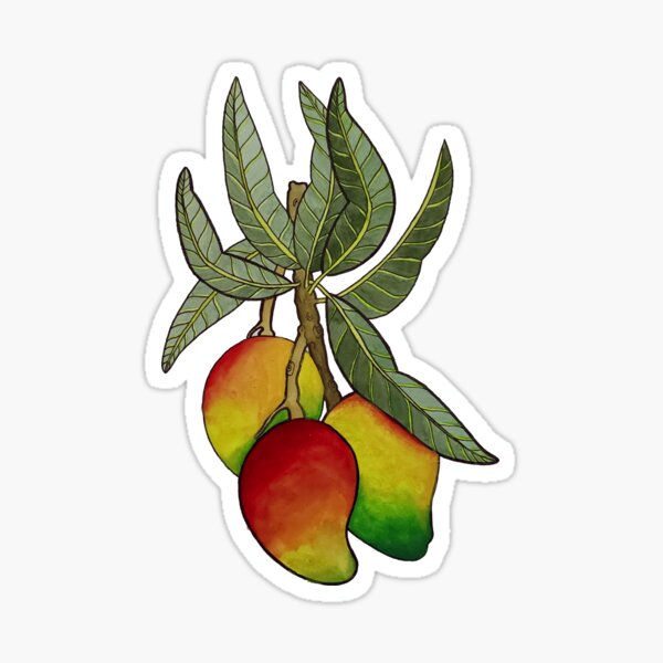 "Mangos " Sticker for Sale by CitlaliElena | Redbubble