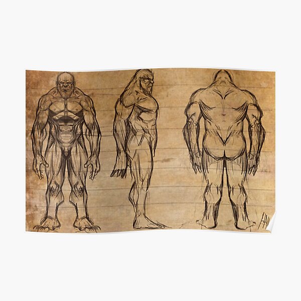 "Anatomy Of A Sasquatch " Poster by Bravo-Designs | Redbubble