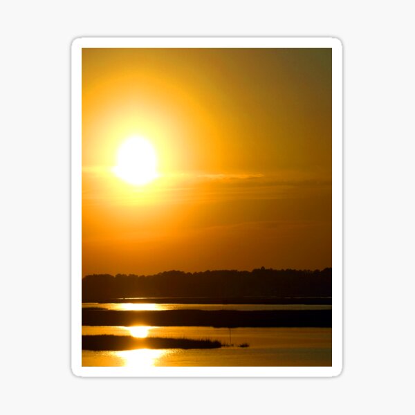 "Sunny" Sticker for Sale by kimbarose | Redbubble