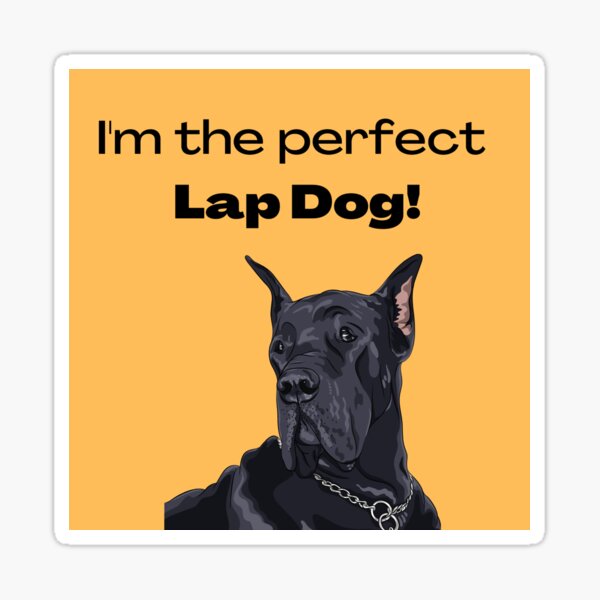 "The perfect Lap Dog" Sticker for Sale by lilrealwil | Redbubble