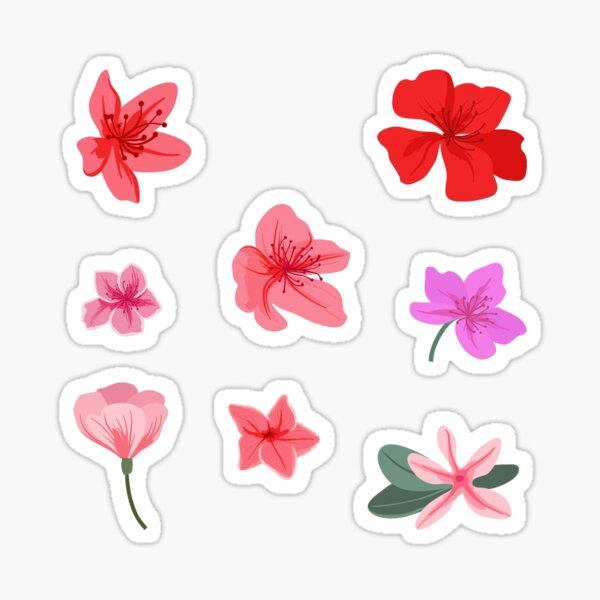 " Azalea Flowers Pack" Sticker for Sale by package11 | Redbubble