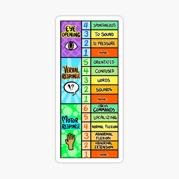 "Vibrant Glasgow Coma Scale" Sticker for Sale by LadybugSurgery | Redbubble