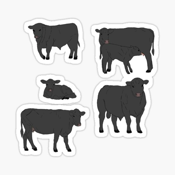 Red Angus Heifer Sticker Pack Laptop Decals & Skins etna.com.pe