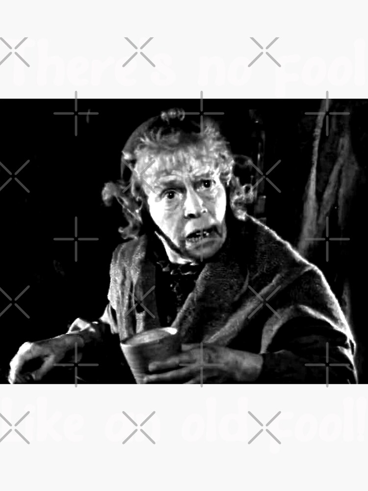 "There's No Fool Like An Old Fool!" Sticker for Sale by RuthMichael2 ...