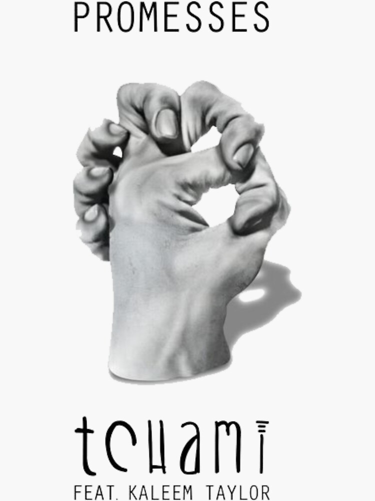 "tchami" Sticker for Sale by garrethkemble | Redbubble