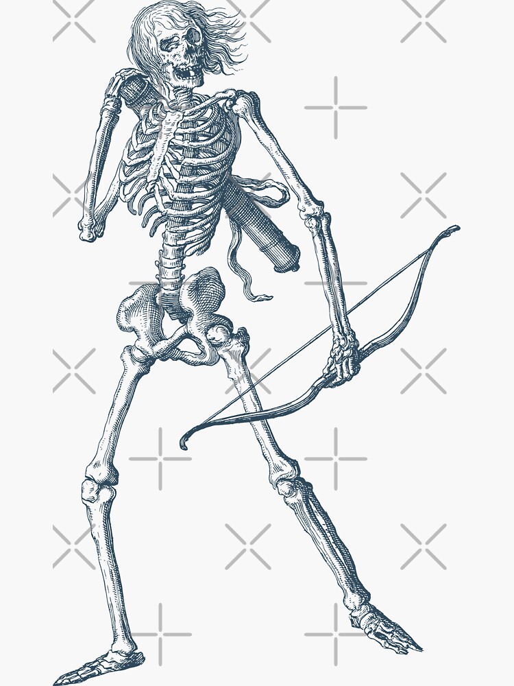 "Vintage Bow and Arrow Skeleton " Sticker for Sale by Anzarr | Redbubble