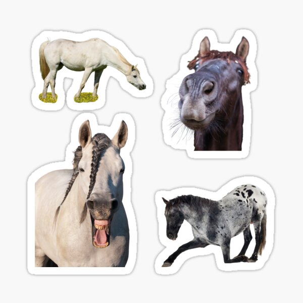 "1st Funny Horse Stickers Bundle, Horse Lover Essential Package. Horses ...