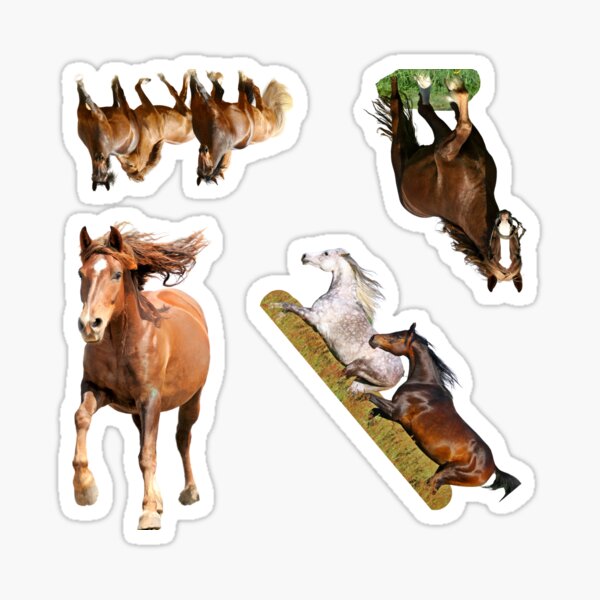 "3rd Happy Horse Stickers Bundle, Horse Lover Essential Package. Horses ...