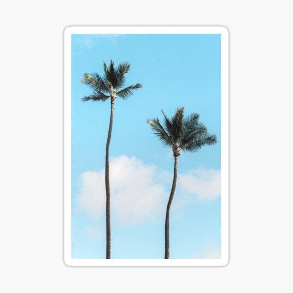 "Two Palm Trees Together" Sticker for Sale by twopalmtree | Redbubble