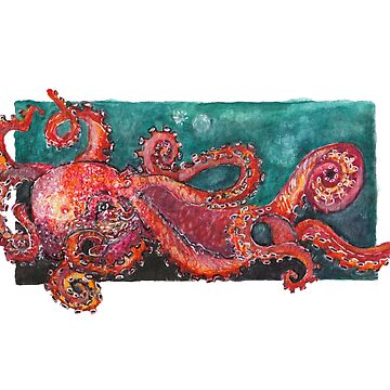 "My Octopus Friend" Photographic Print for Sale by AineSandfordArt ...