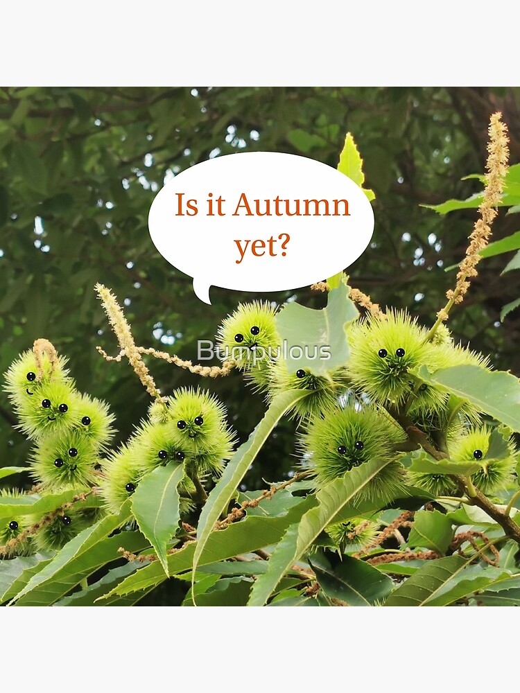 "Is it Autumn yet?" Poster for Sale by Bumpulous | Redbubble