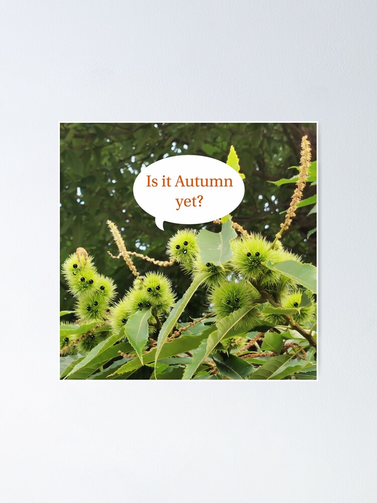 "Is it Autumn yet?" Poster for Sale by Bumpulous | Redbubble