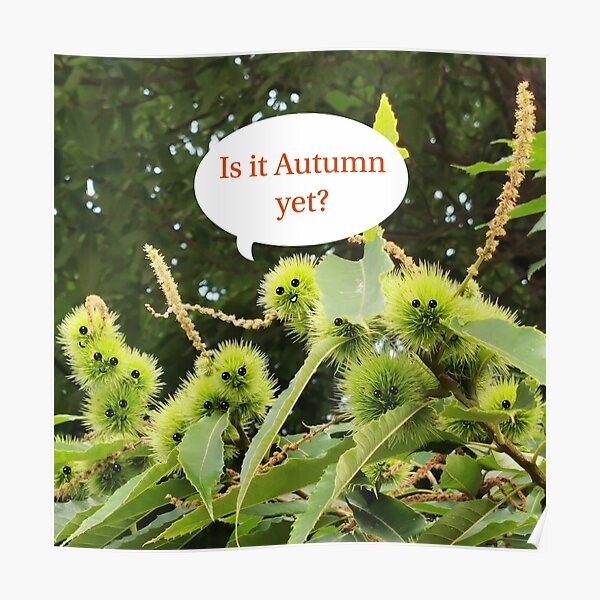 "Is it Autumn yet?" Poster for Sale by Bumpulous | Redbubble