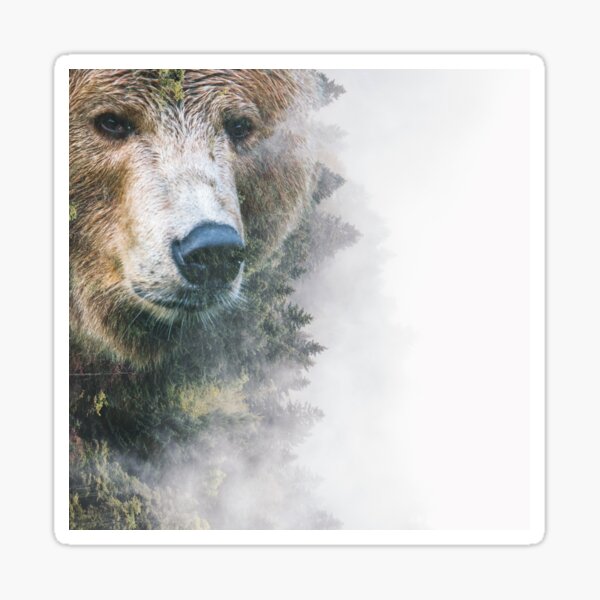 "Animal Spirit: Bear" Sticker by mooonthemoon | Redbubble