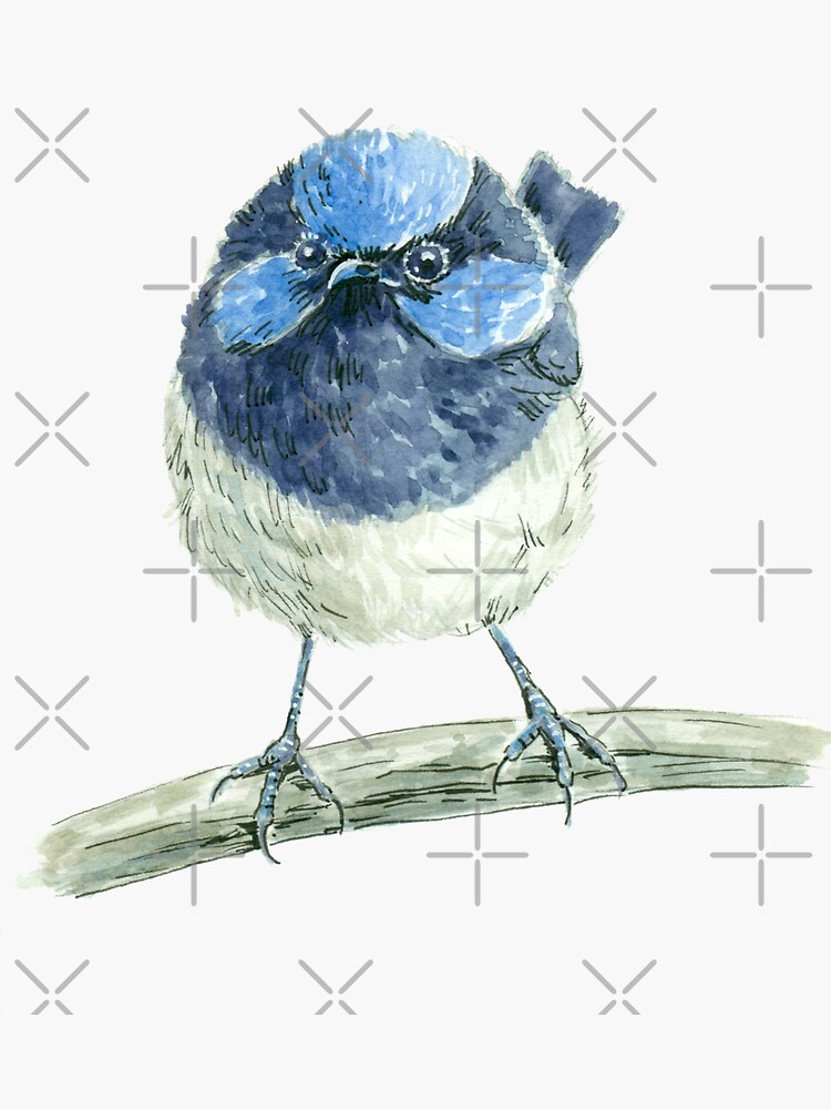 "Fairy wren" Sticker by katerinamk | Redbubble