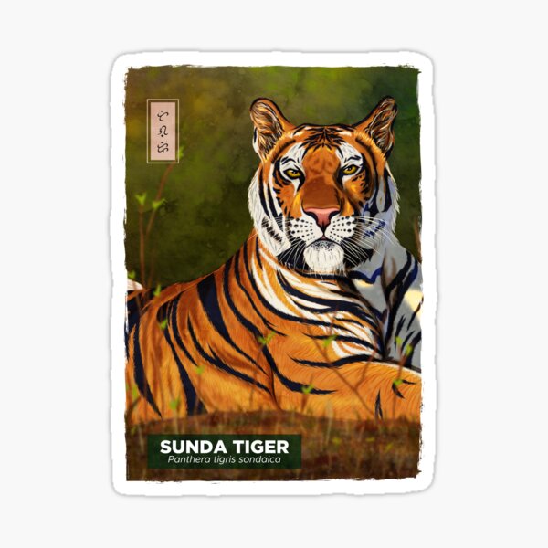 "Sunda Tiger - Black" Sticker by ThorReyes | Redbubble