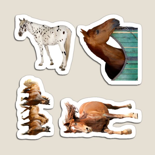 "7th Unique Horse Stickers Bundle, Horse Lover Essential Package ...