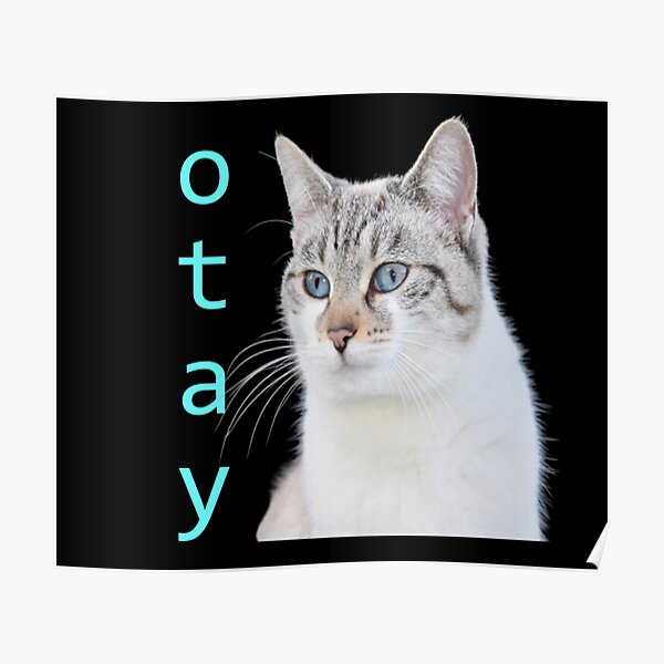 "Otay cat" Poster by PrasanagaStores | Redbubble