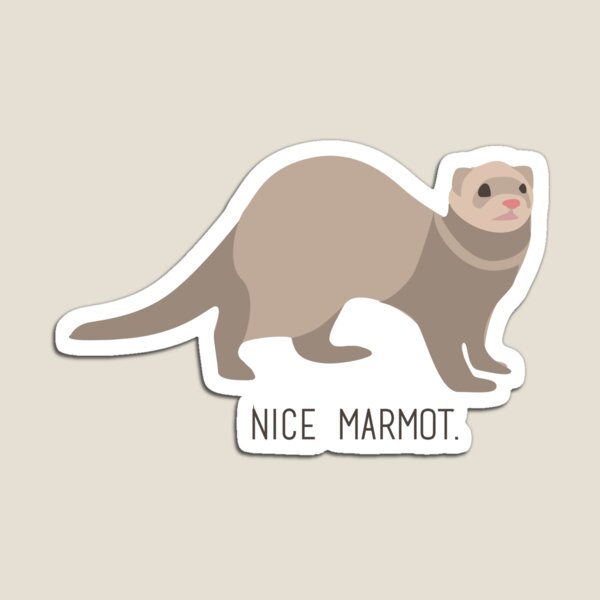 "Nice Marmot - The Big Lebowski" Magnet for Sale by thesadsquatch ...