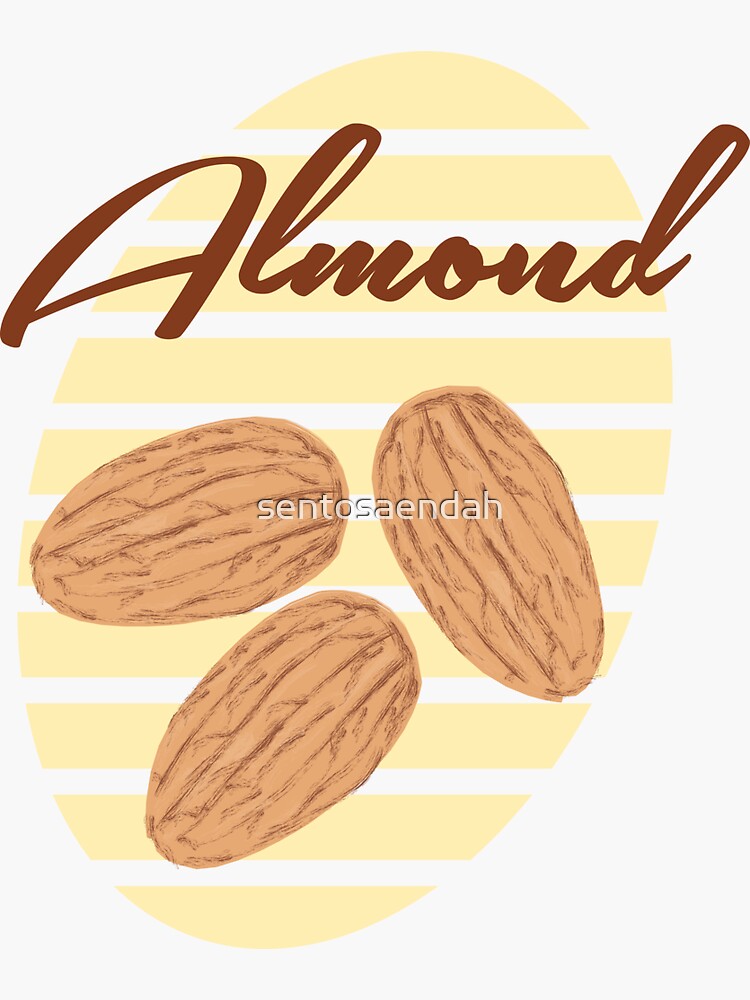 "almond, simple illustration of almonds " Sticker by sentosaendah ...