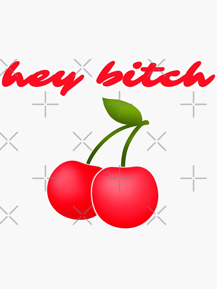 "hey b*tch" Sticker for Sale by FinnLeaf | Redbubble