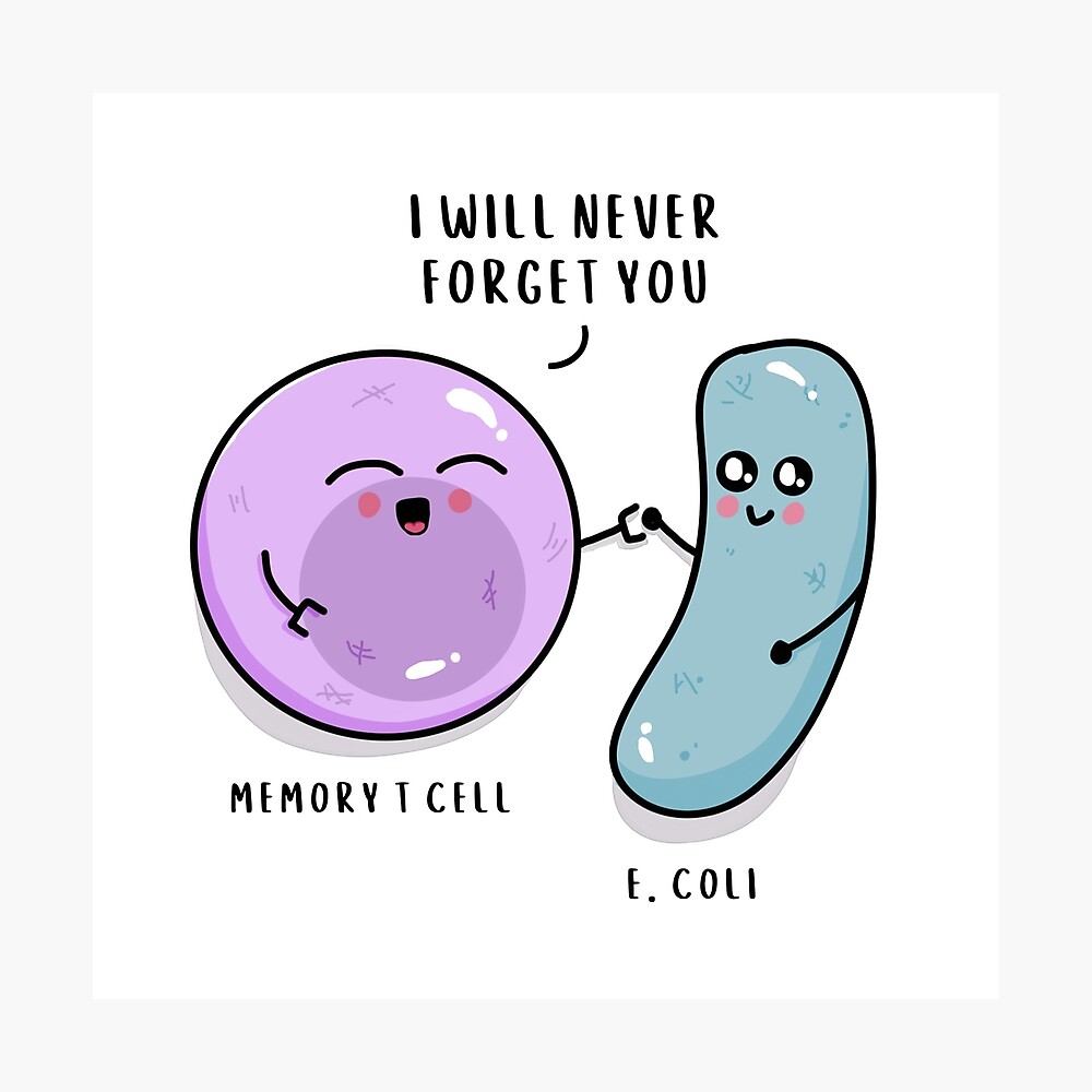 Immune System Jokes Qwik Jokes | Good Qwik Joke In Every New Tab