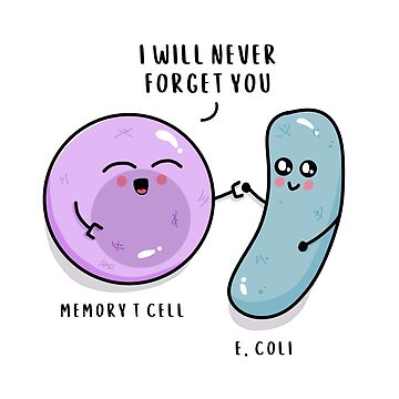 "T Cell Pun | Science Pun, Immunology, Microbiology, Funny Science ...