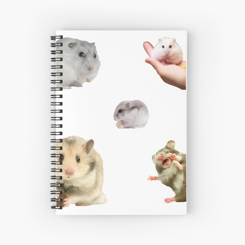 "3rd Surprised Hamster Stickers Package. Cute Hamsters For Every ...