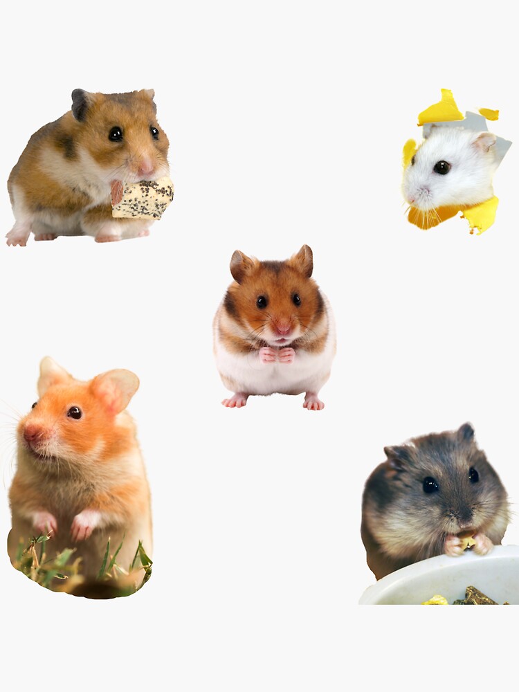 "1st Unique Hamster Stickers Package. Cute Hamsters For Every Hamster ...