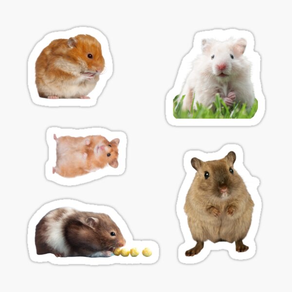 "2nd Unique Hamster Stickers Package. Cute Hamsters For Every Hamster ...