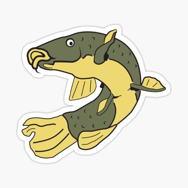 "Common Carp - Colorful" Sticker for Sale by PamieArt | Redbubble