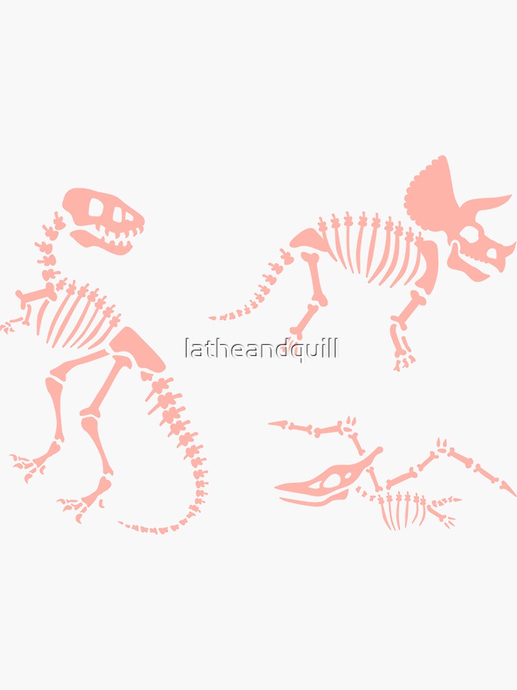 "Dinosaurs Fossils on Pink" Sticker by latheandquill | Redbubble