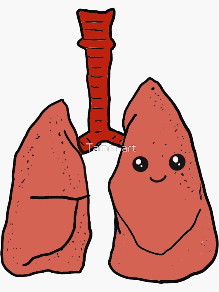 "Cute lungs" Sticker for Sale by Tamm-art | Redbubble