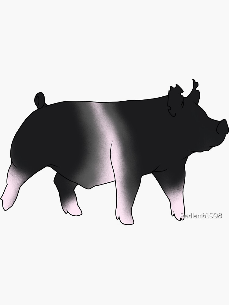 "Belted Hog" Sticker for Sale by Redlamb1998 | Redbubble