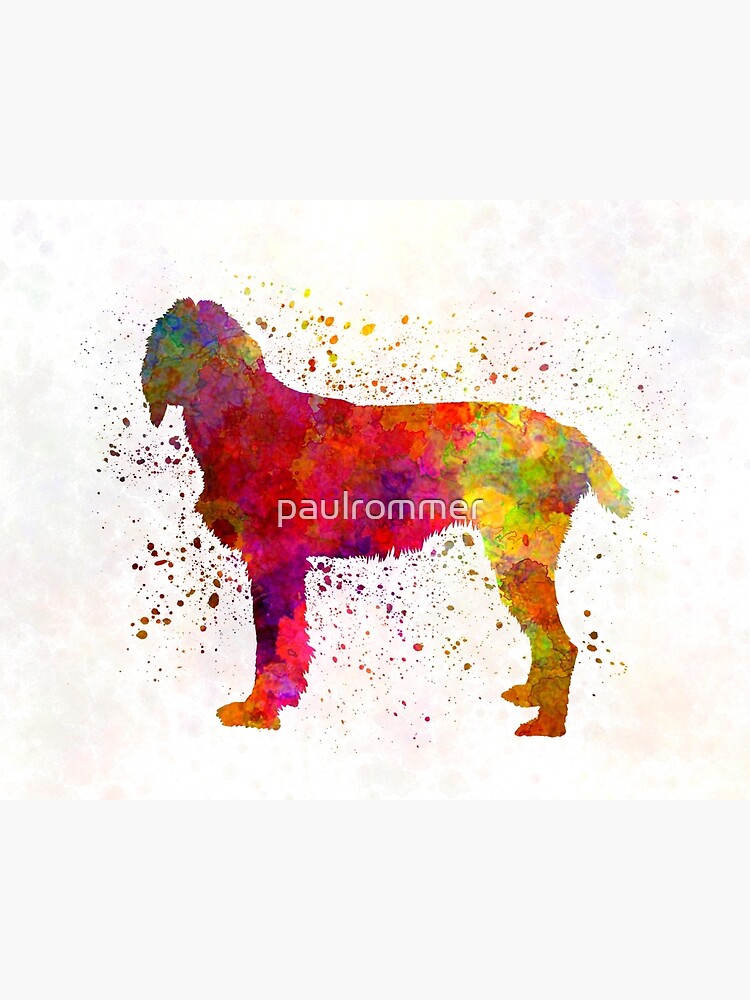 "Pudelpointer in watercolor" Poster by paulrommer | Redbubble