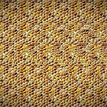 "Dangerously Beautiful Stereogram 3" Poster for Sale by JMarP | Redbubble