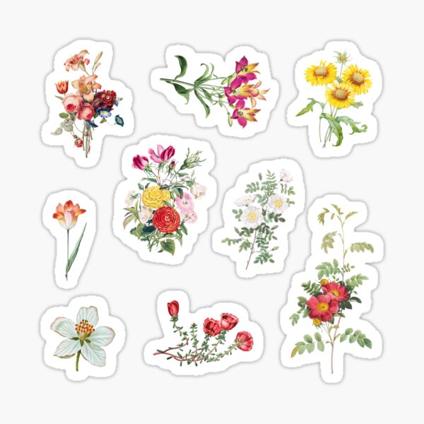 "Vintage Floral Flower Sticker Magnet Set Cute Cottagecore Aesthetic ...