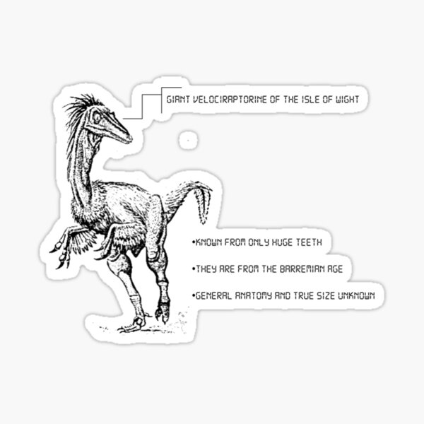 "Isle of Wight giant _x27_Raptor_x27_ in Black and White " Sticker for ...