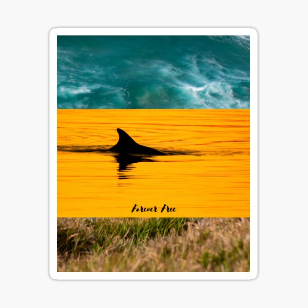 "Forever Free Dolphin Fin" Sticker for Sale by Shywulfe | Redbubble