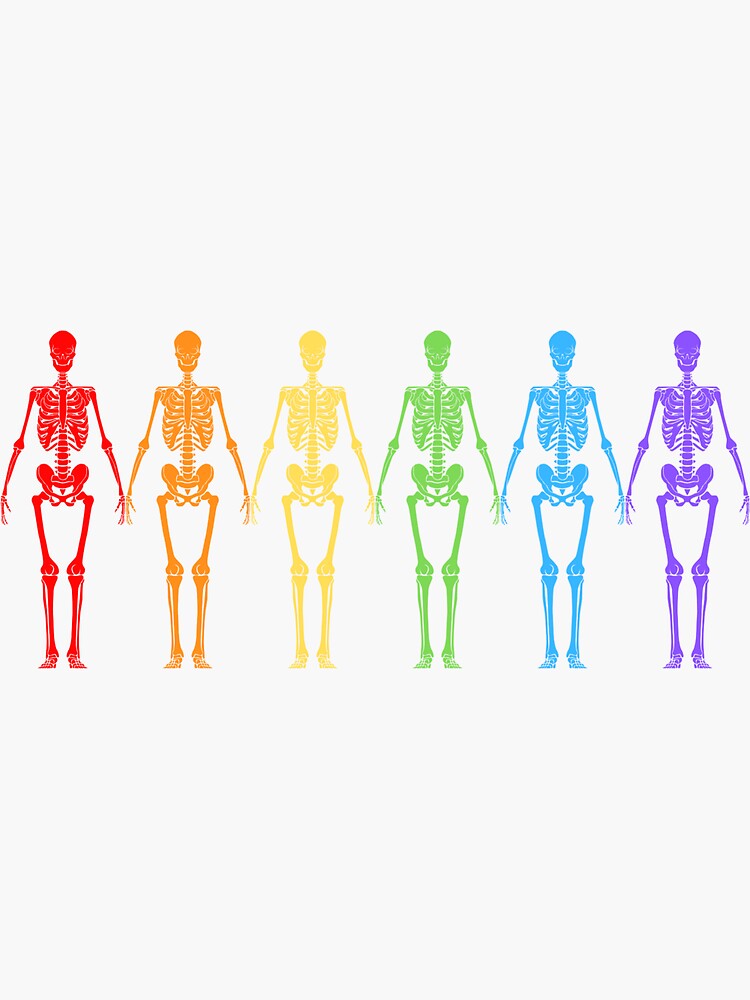 "Rainbow Skeletons " Sticker for Sale by crswllcreative | Redbubble