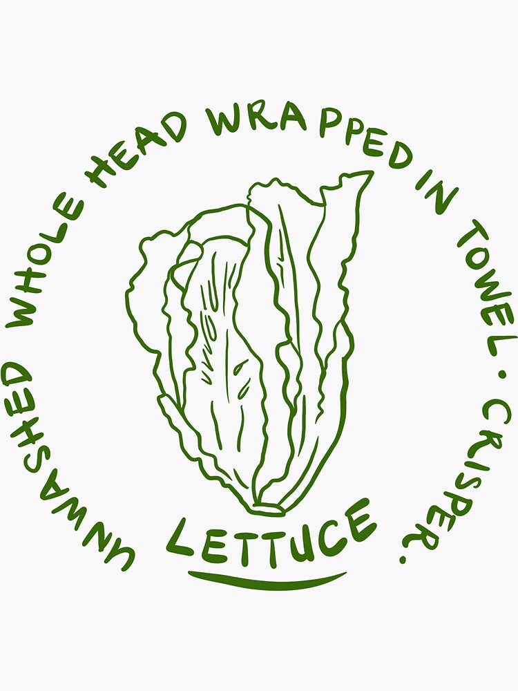 "How To Store Lettuce" Sticker for Sale by forgetfullucyau | Redbubble