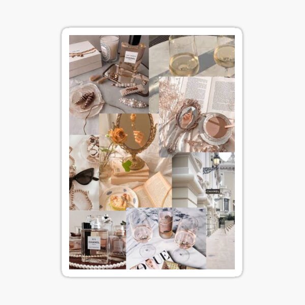 "Classy Aesthetic" Sticker by gabstargabstar | Redbubble