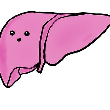 "Cute liver" Sticker for Sale by Tamm-art | Redbubble
