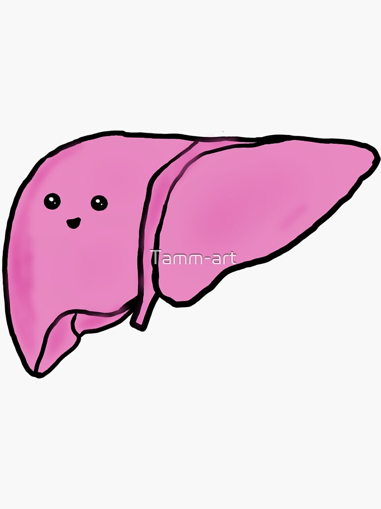 "Cute liver" Sticker for Sale by Tamm-art | Redbubble